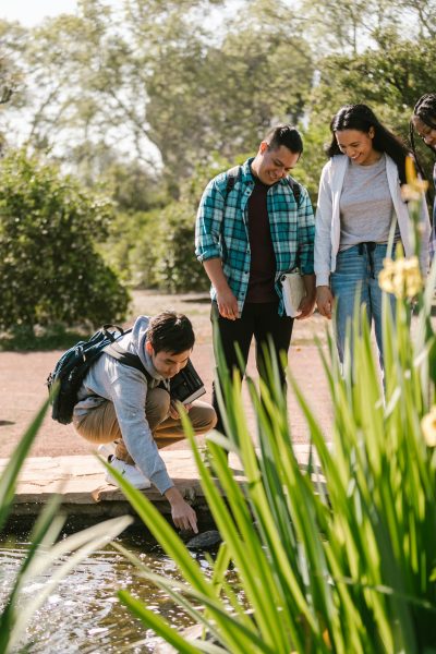 School and College Field Trips